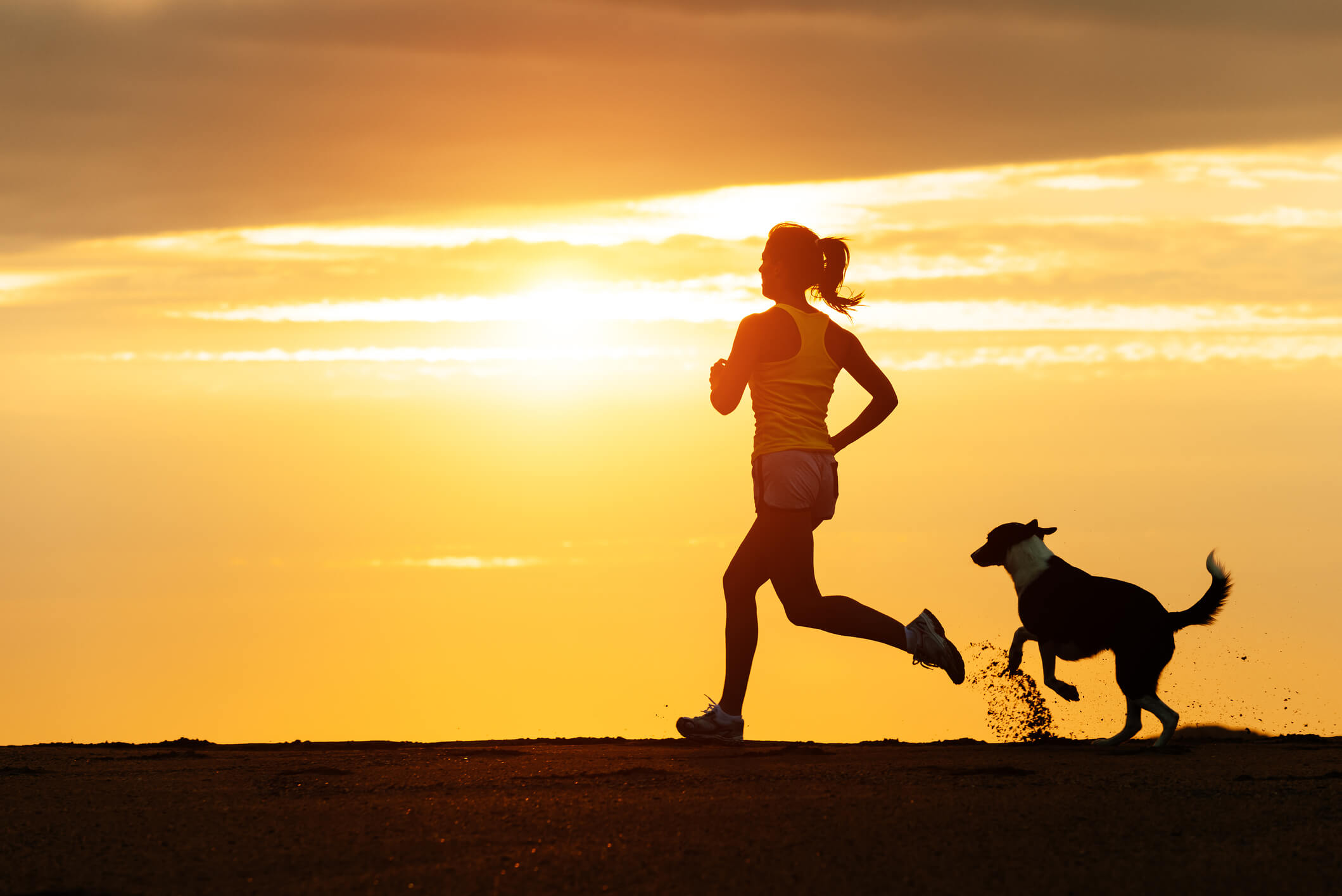 The Best Time To Lose Weight Is First Thing In The Morning The Best Time To Lose Weight Is First Thing In The Morning